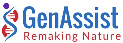 GenAssist - Traveller