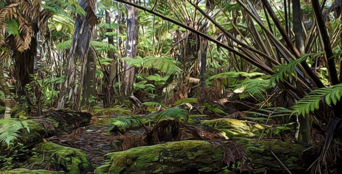 Lifeform Images - Traveller