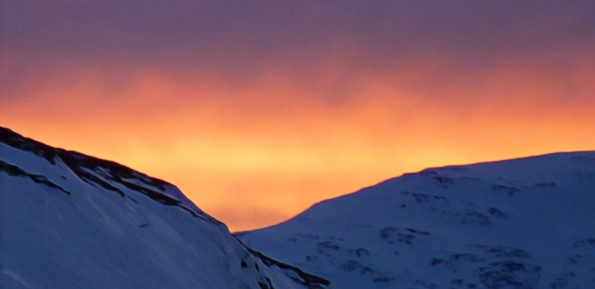 Polisk (world) - Traveller