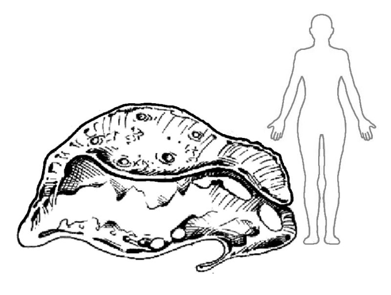 Alpha Subsector - Traveller